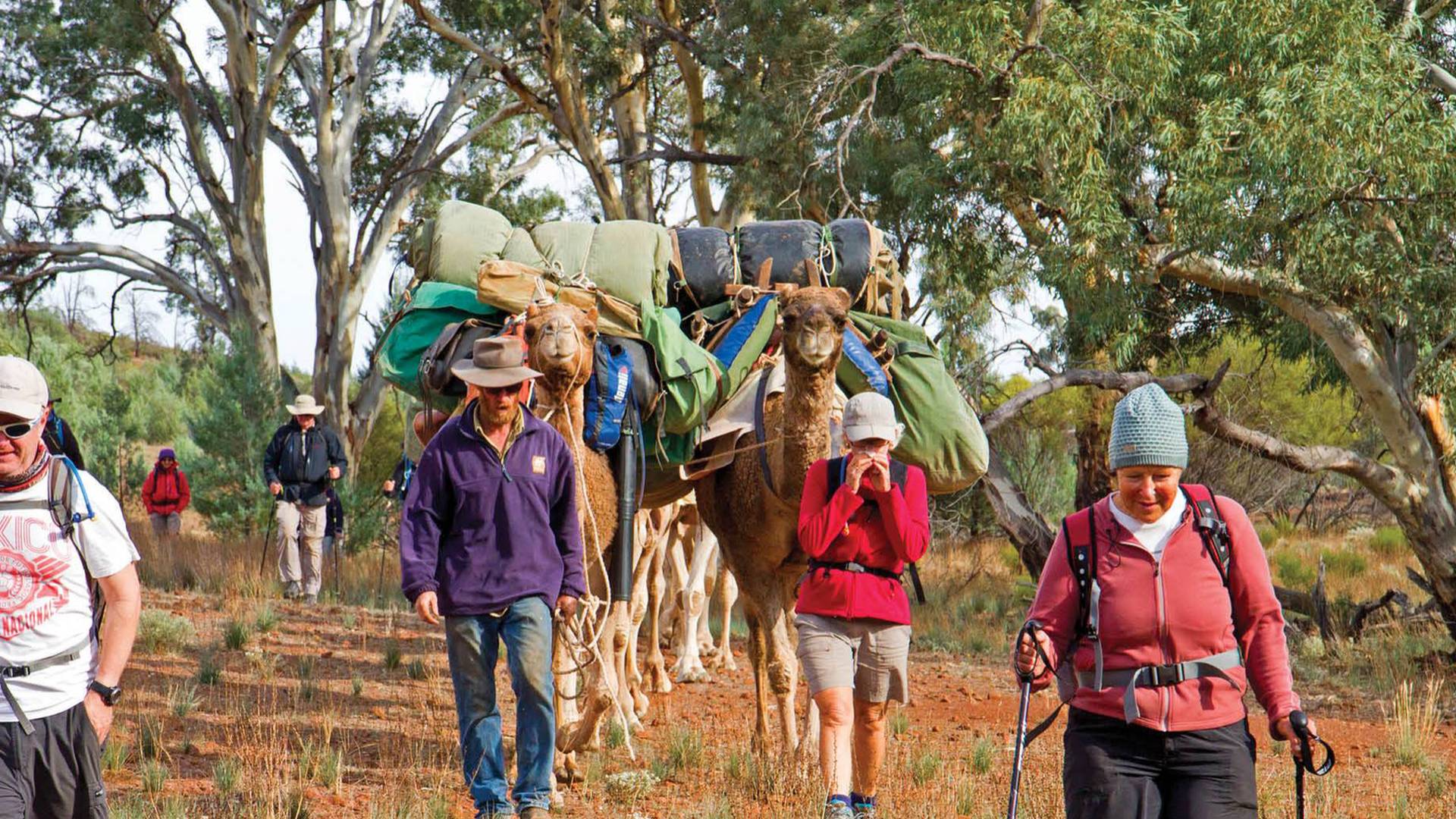 Remote Northern Flinders Camel Trek - World Expeditions