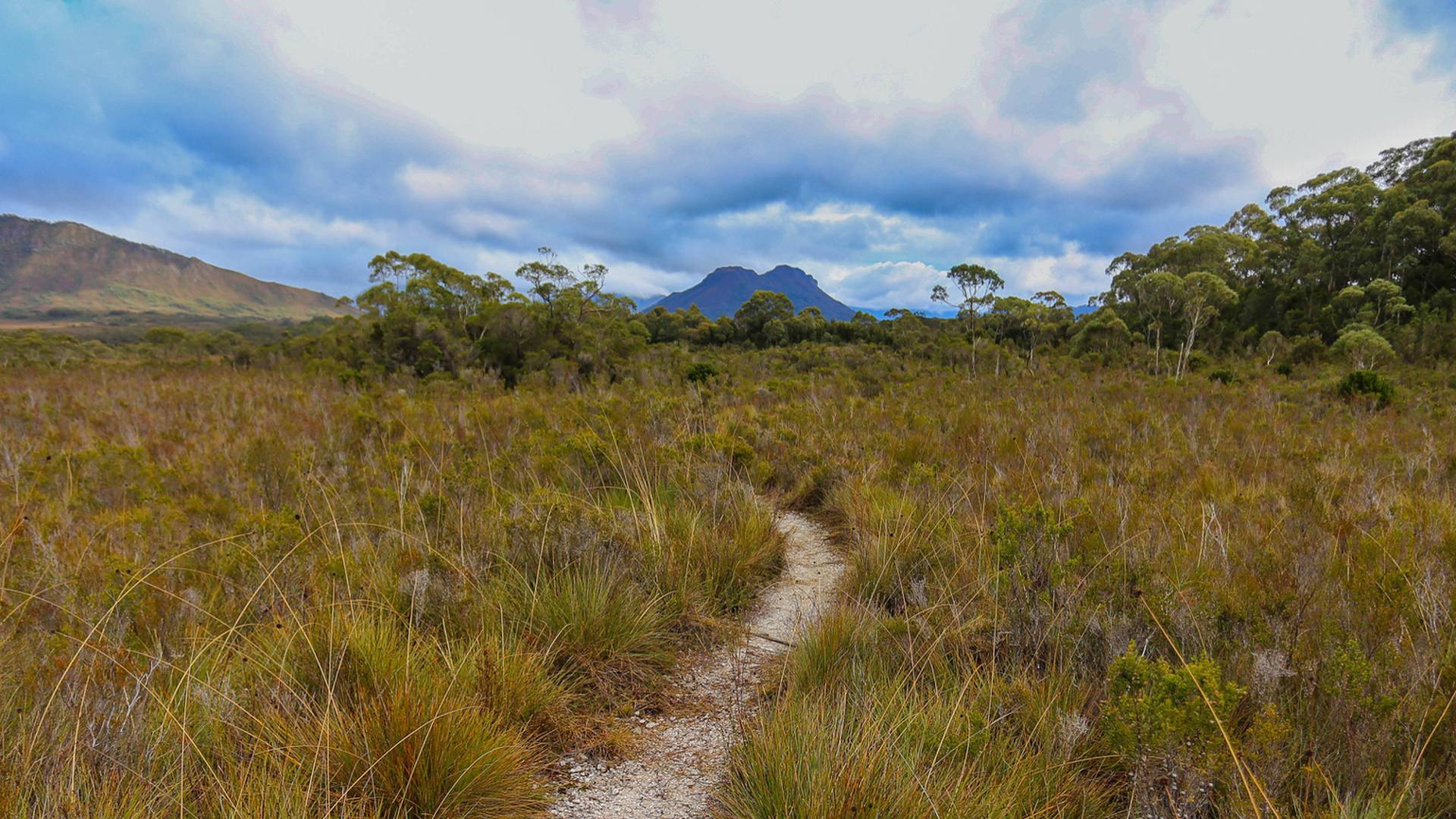 Port Davey Track - World Expeditions