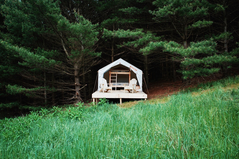 Photo of Forest Hideaway