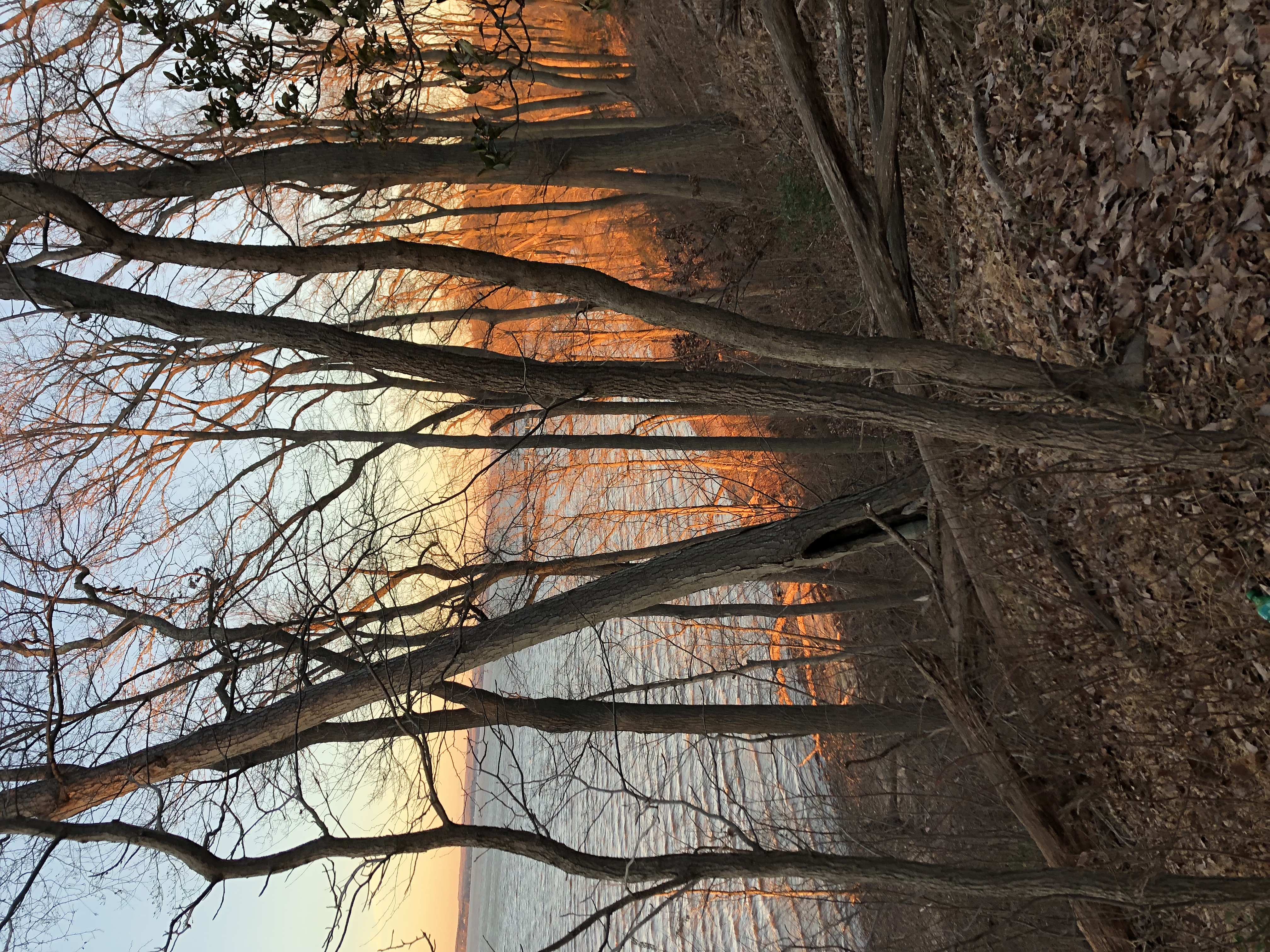 Photo of Hike the Elk Neck State Forest Trails