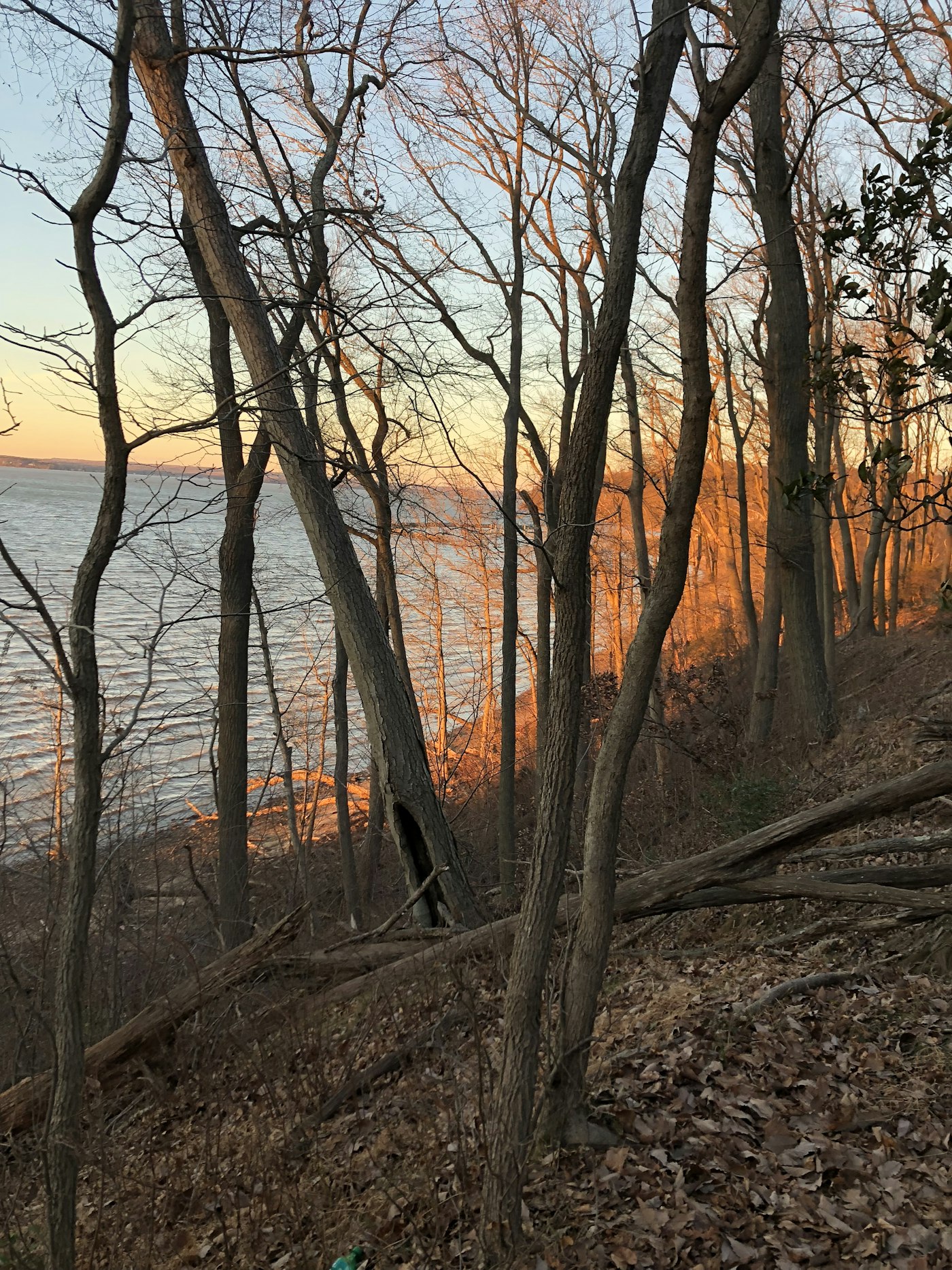 Photo of Hike the Elk Neck State Forest Trails