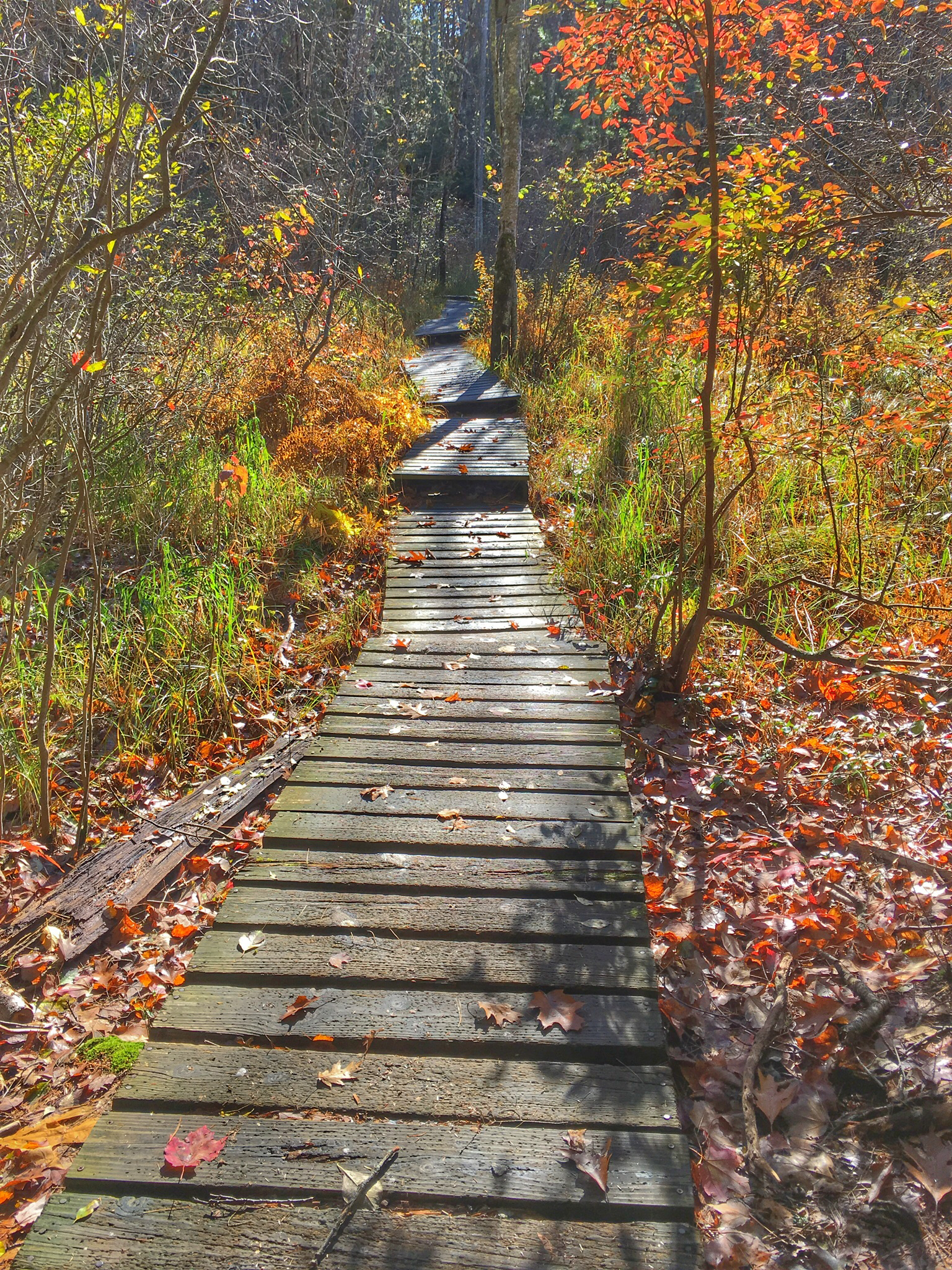 Photos: Pulpit Rock Conservation Area Loop, Bedford, New Hampshire