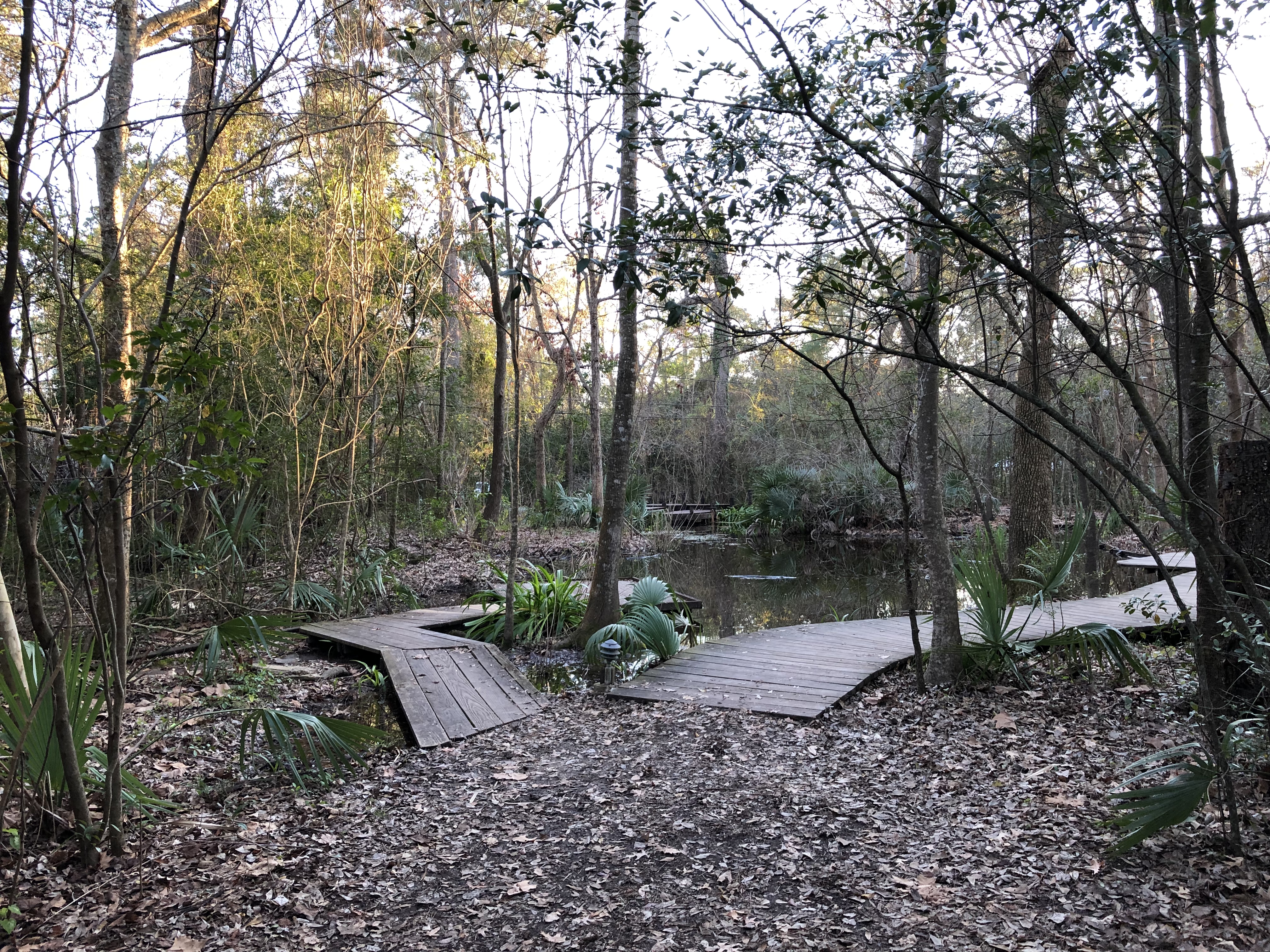 Hike the Edith L Moore Nature Sanctuary Trail, Houston, Texas