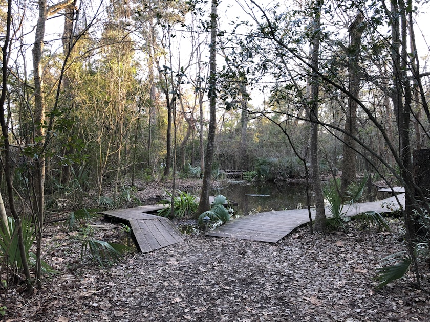 Hike the Edith L Moore Nature Sanctuary Trail, Edith L Moore Nature ...