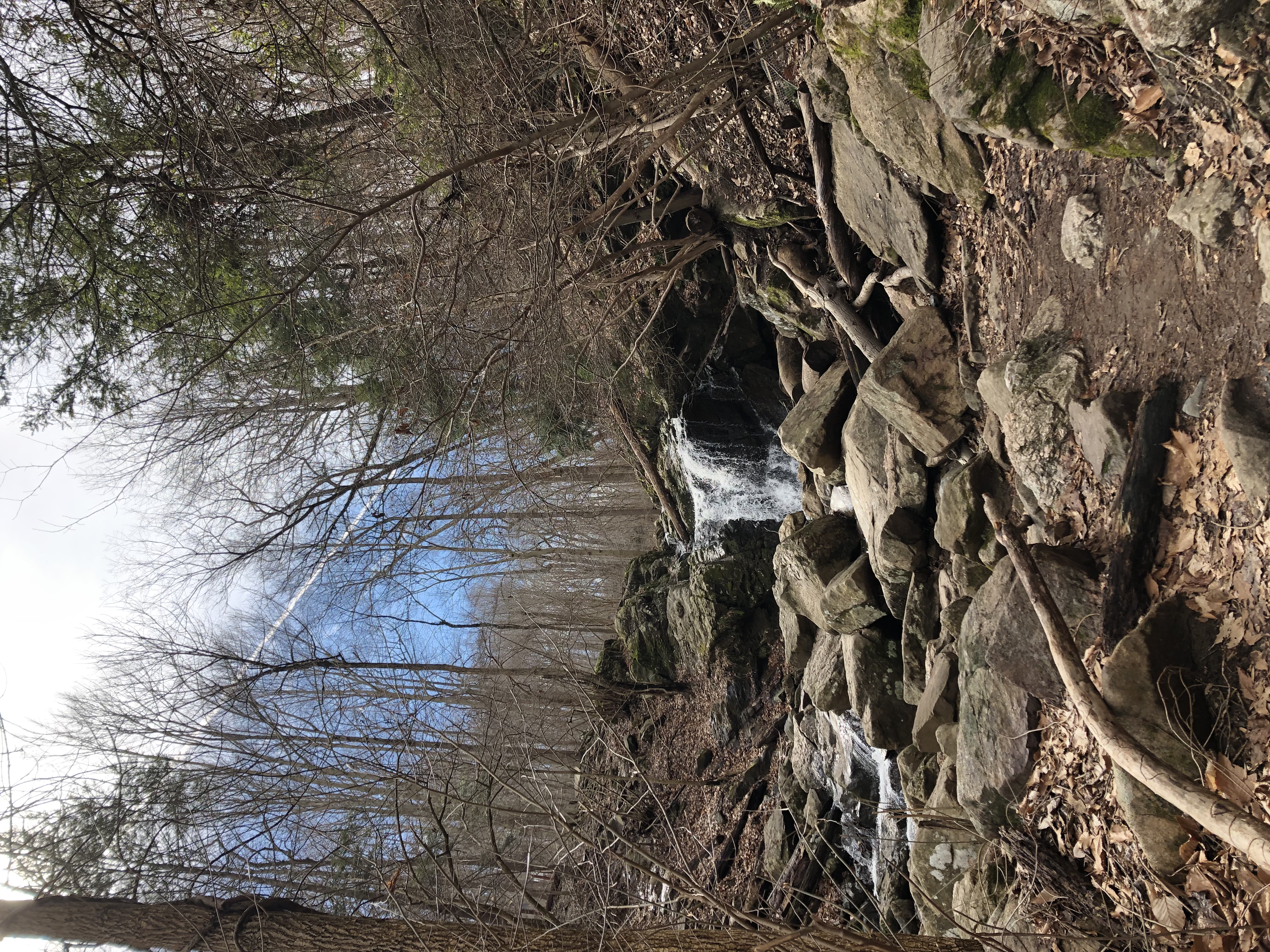 Photos: Cascade Falls Loop, Elkridge, Maryland