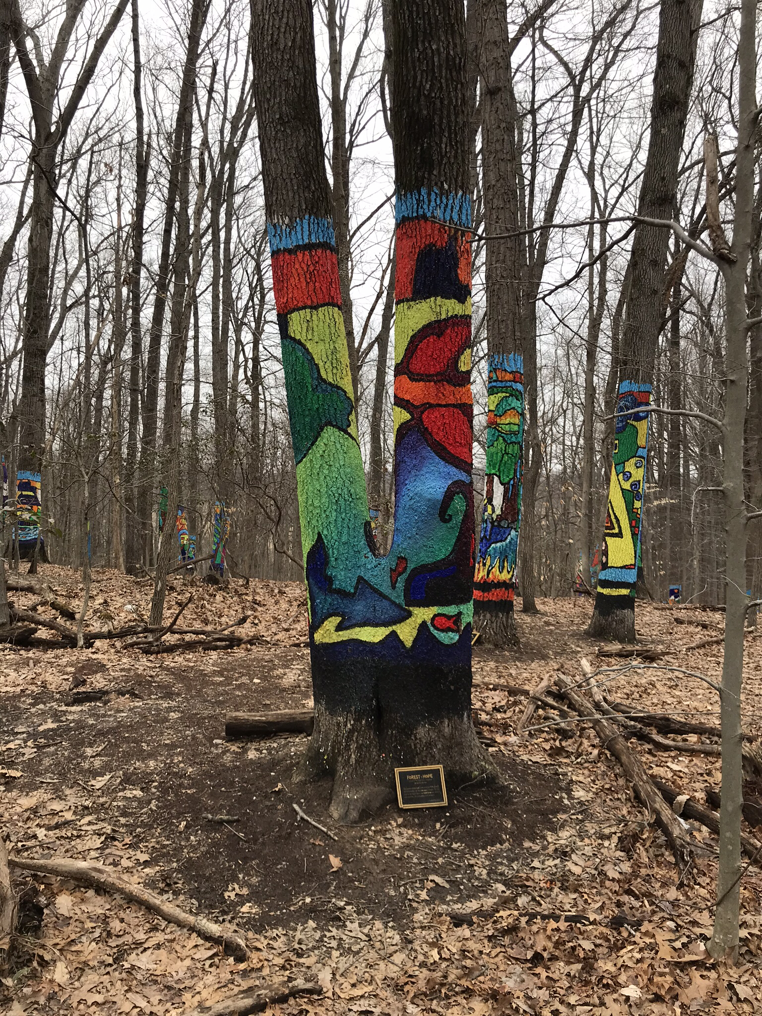 Hike the Oregon Ridge Park Trail, Cockeysville, Maryland