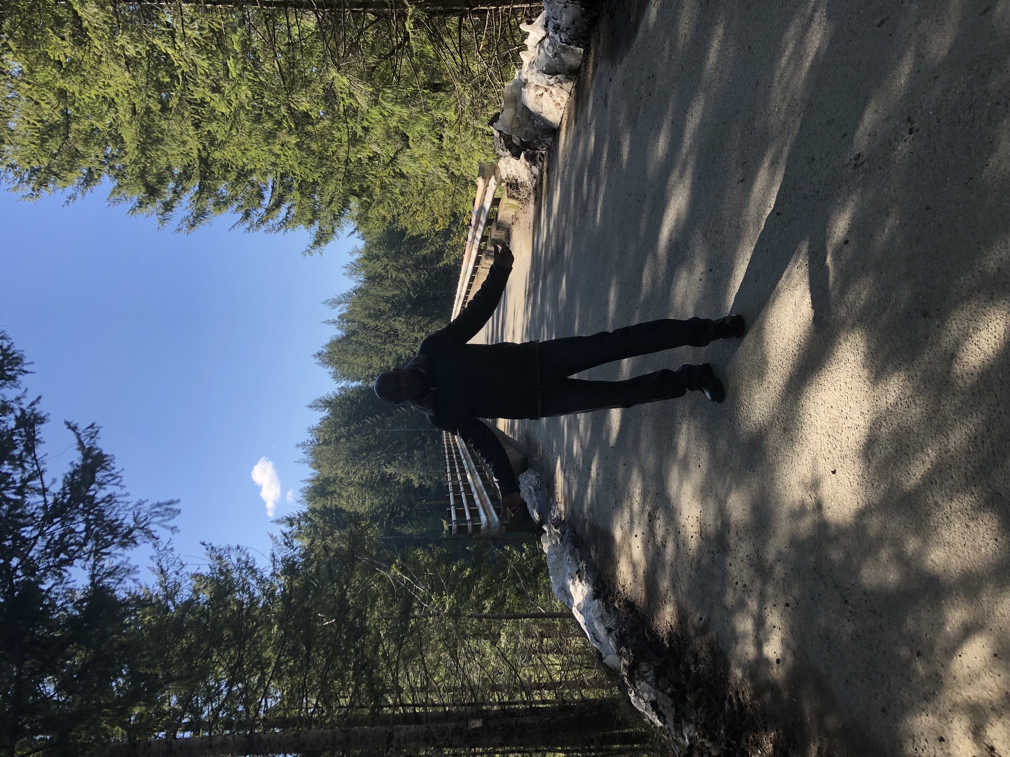 Photos: Explore High Steel Bridge, Mason County, Washington