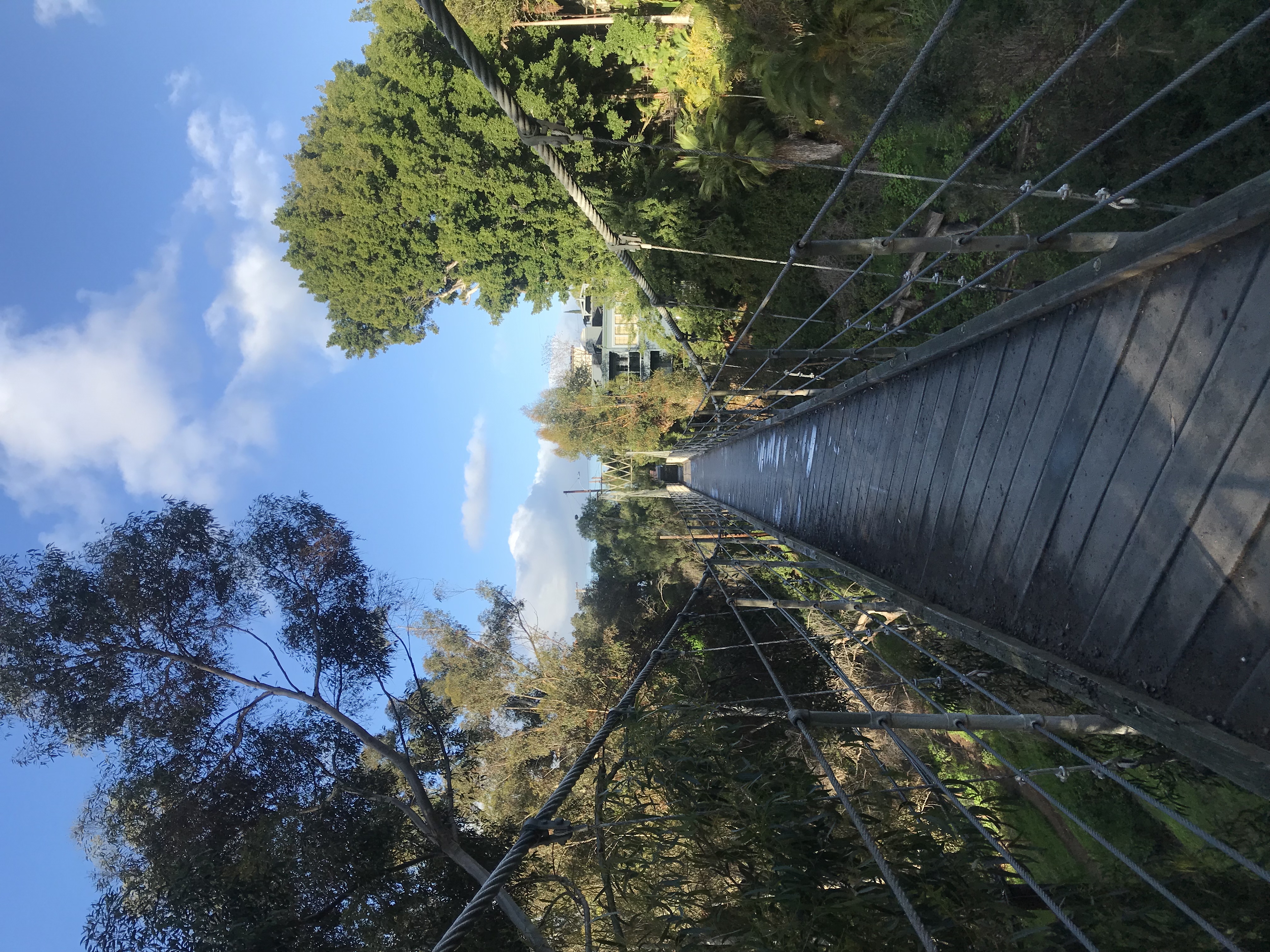 Photos: Hike the Seven Bridge Walk, San Diego, California