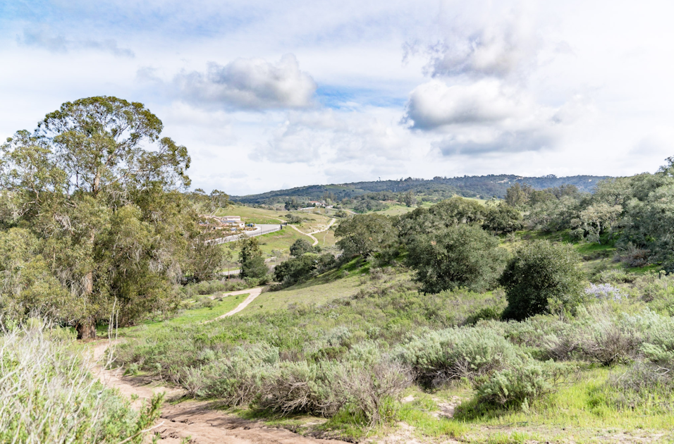Hike or Trail Run the Rice Ranch Trail, Rice Ranch Open Space