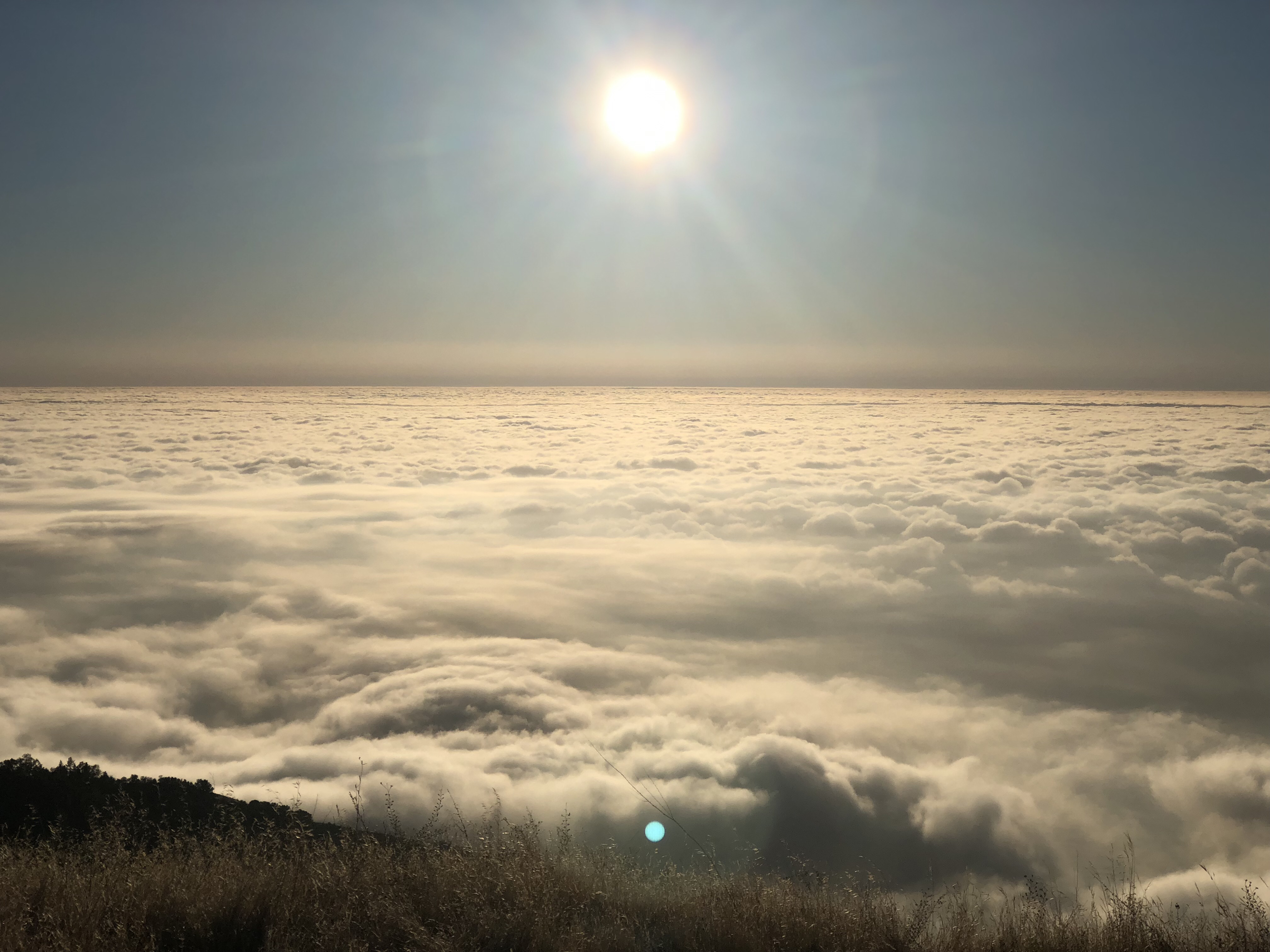 Photos: Camp on Prewitt Ridge, Big Sur, California