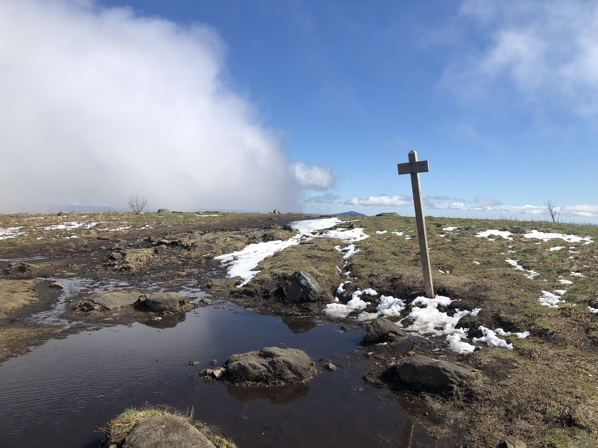 Photos: Grassy Ridge Bald in the Roan Highlands, Bakersville, North ...