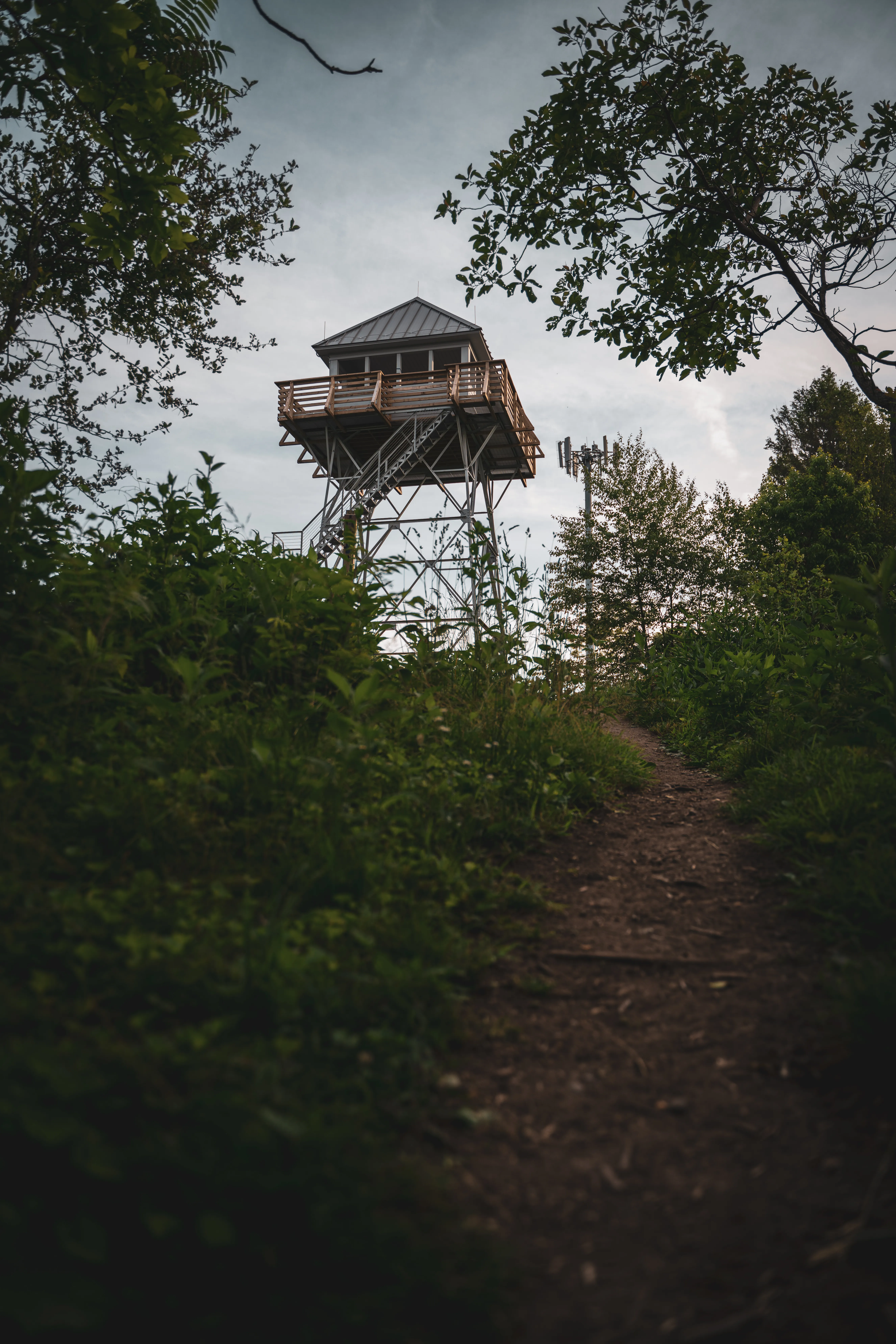 Photos: Rich Mountain Fire Tower, Hot Springs, North Carolina