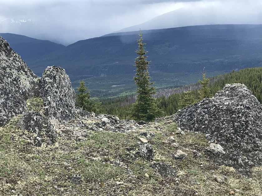 Hike to Muskeg Falls in Grande Cache, Muskeg Falls Trailhead