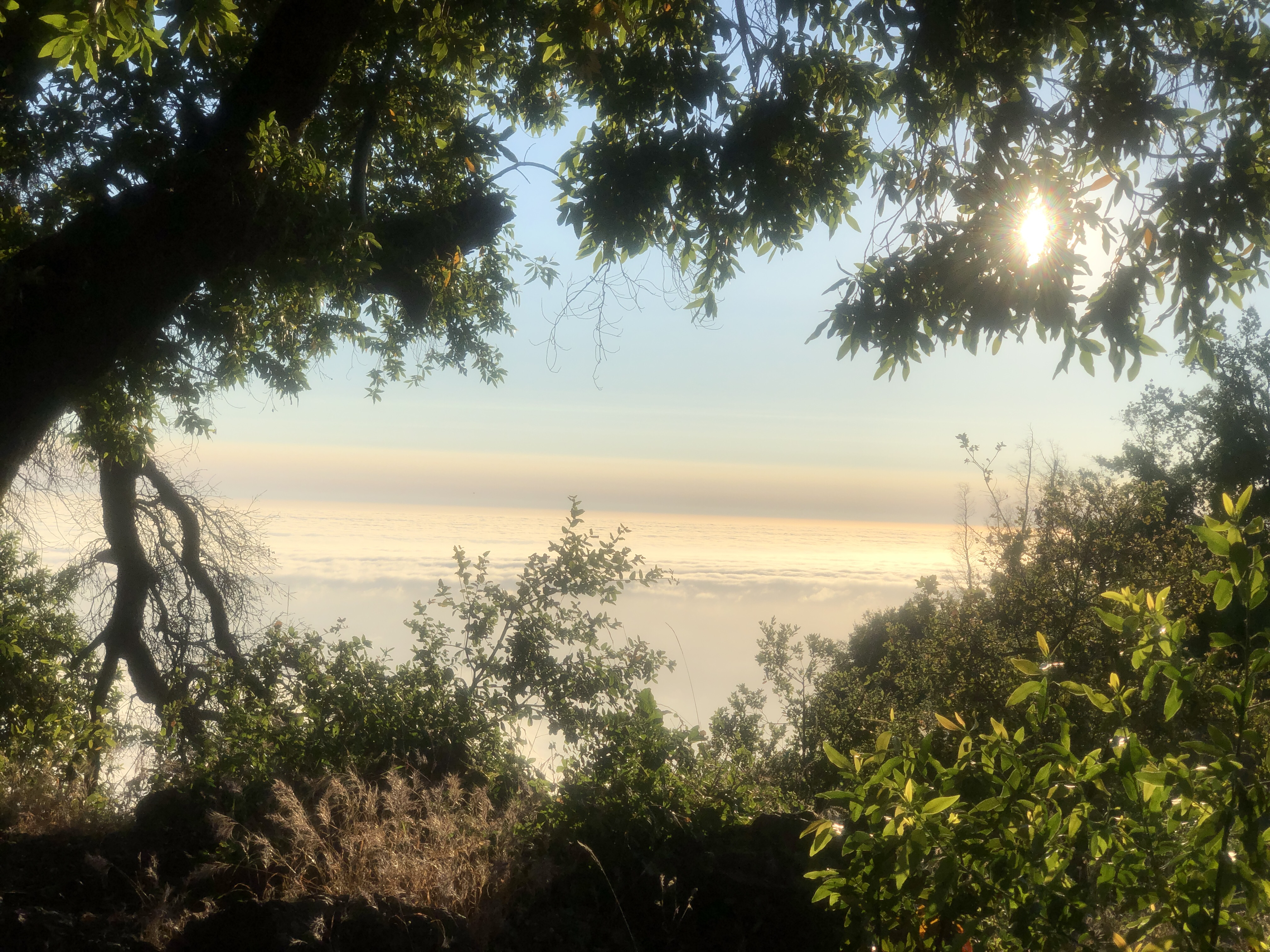 Photos: Camp on Prewitt Ridge, Big Sur, California