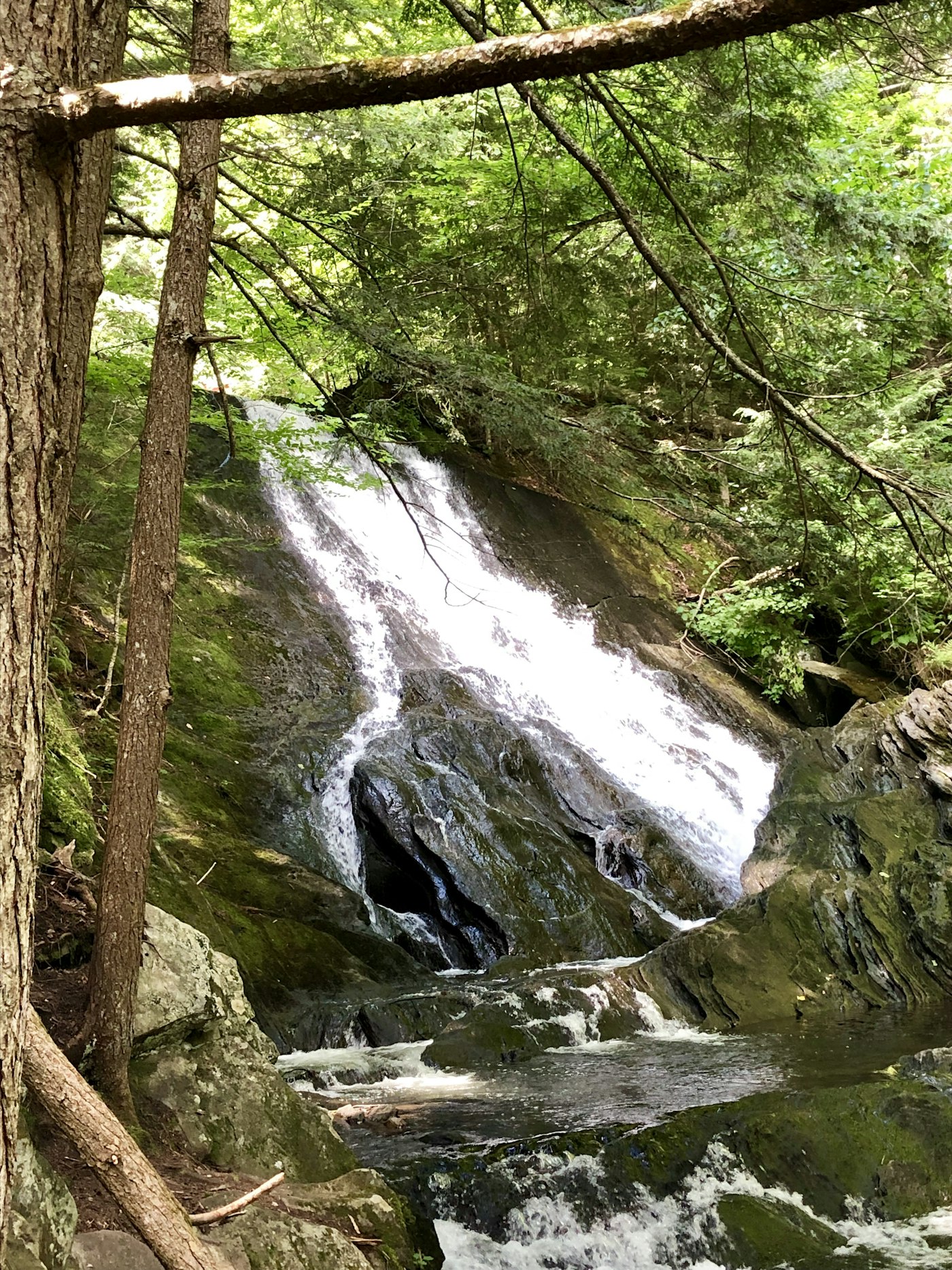 Photo of Hike to Thundering Brook Falls