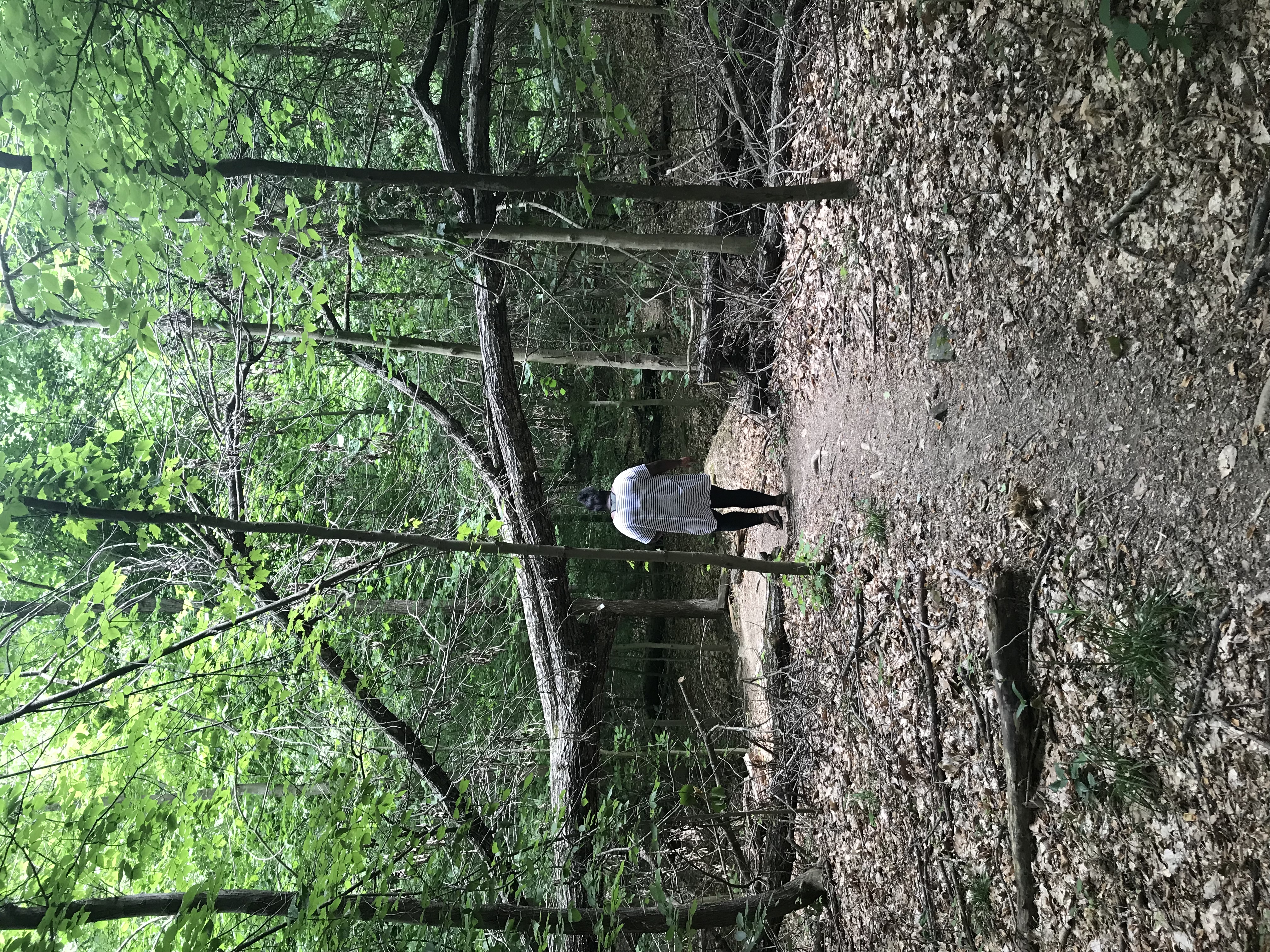 Hike the Millennium Trail, Bernheim Arboretum and Research Forest ...