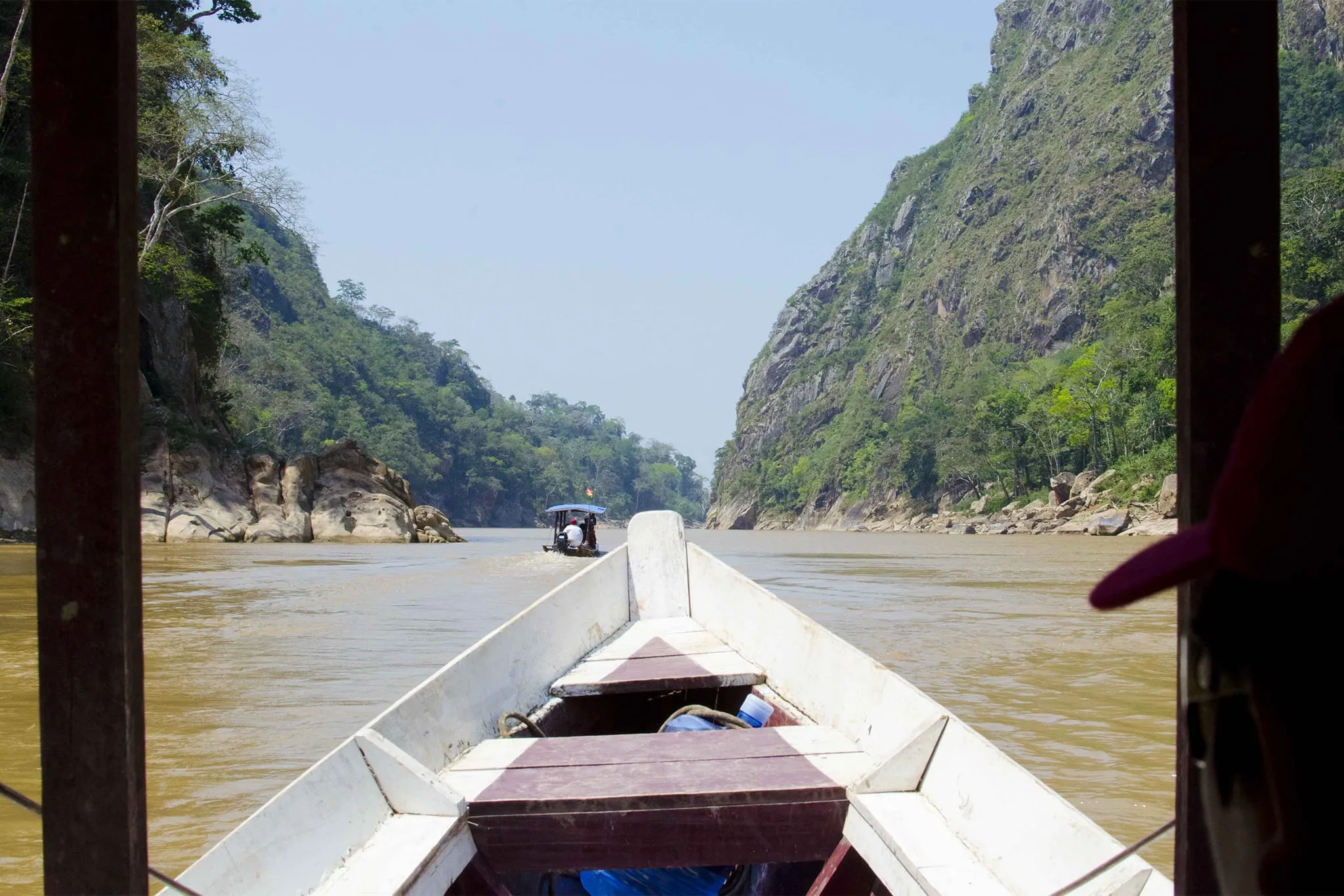 Madidi Jungle & Pampas Trip - 4 Days - Flashpacker Connect