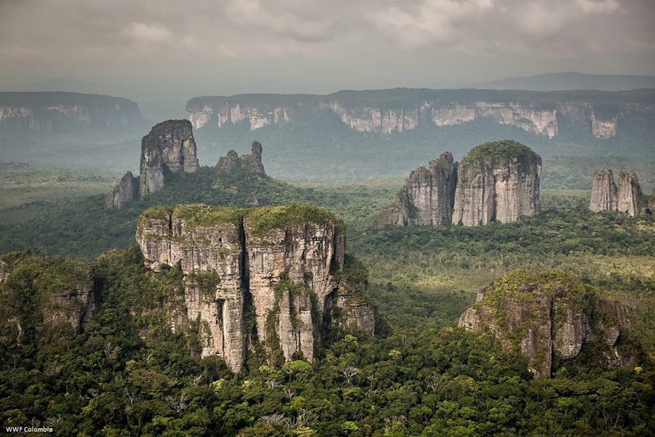 Chiribiquete National Park Fly Over - 1 Day - Flashpacker Connect