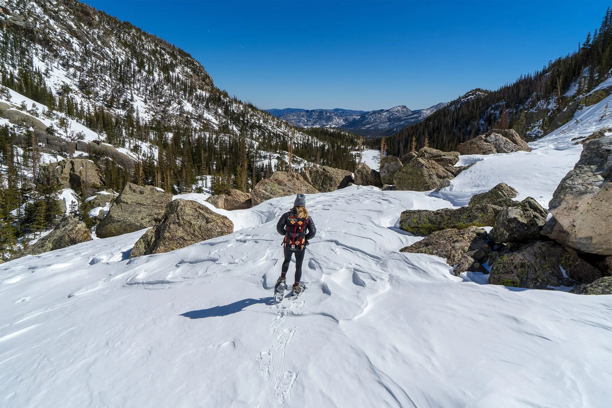 Snowshoe Adventure, Rocky Mountain National Park - 1 Day - Flashpacker ...