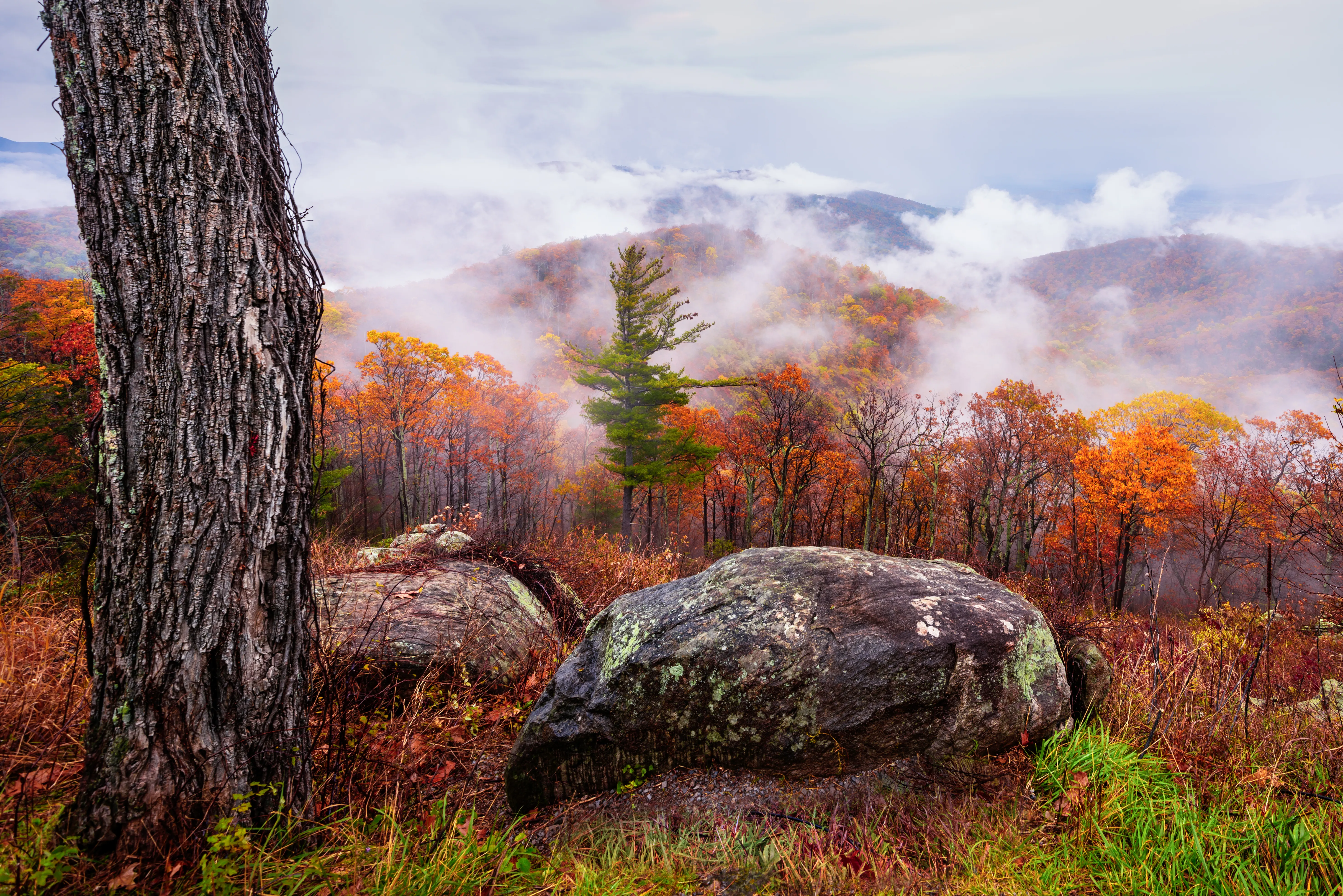 Making the Most of the Fall Colors