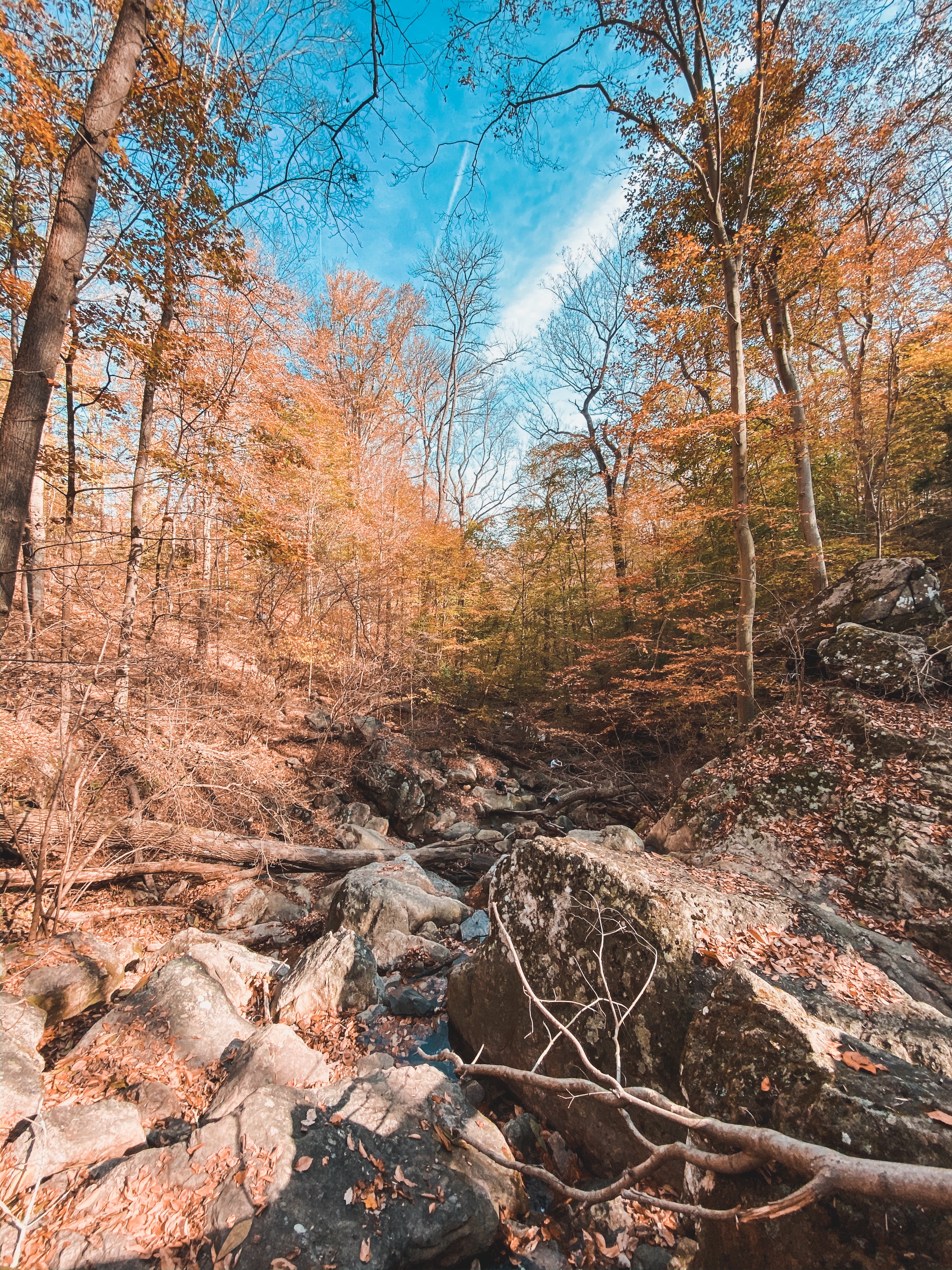 Cascade Falls Loop, Elkridge, Maryland