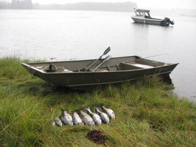 Lodging at Salt Chuck East Cabin in Petersburg, Alaska