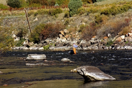 Lodging at Wolcott Campground in Edwards, Colorado