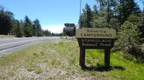 Photo of (Lake Alpine) Silver Tip Campground