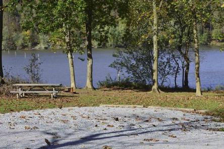 Bush Recreation Area