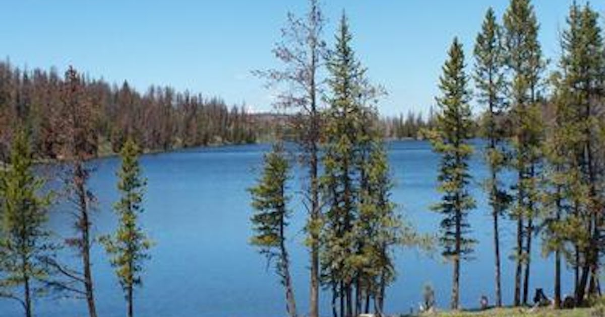 Marsh Lake Campground Marsh Lake Campground
