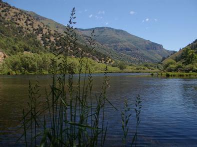 Lodging at Spring Hollow Campground in Logan, Utah