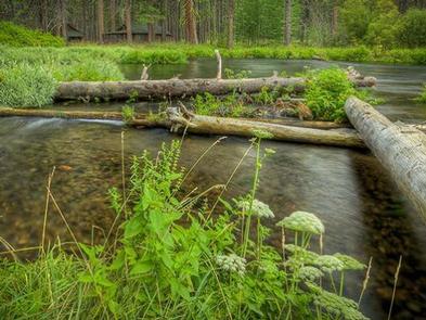 Lodging at Smiling River Campground in Camp Sherman, Oregon