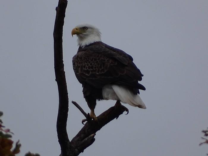 Lodging at Pat Mayse West in Arthur City, Texas
