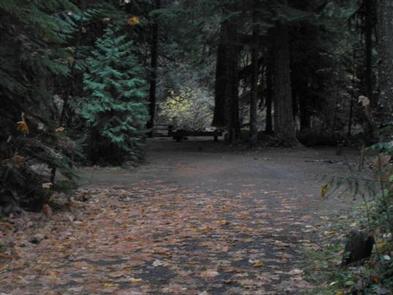 Limberlost Campground