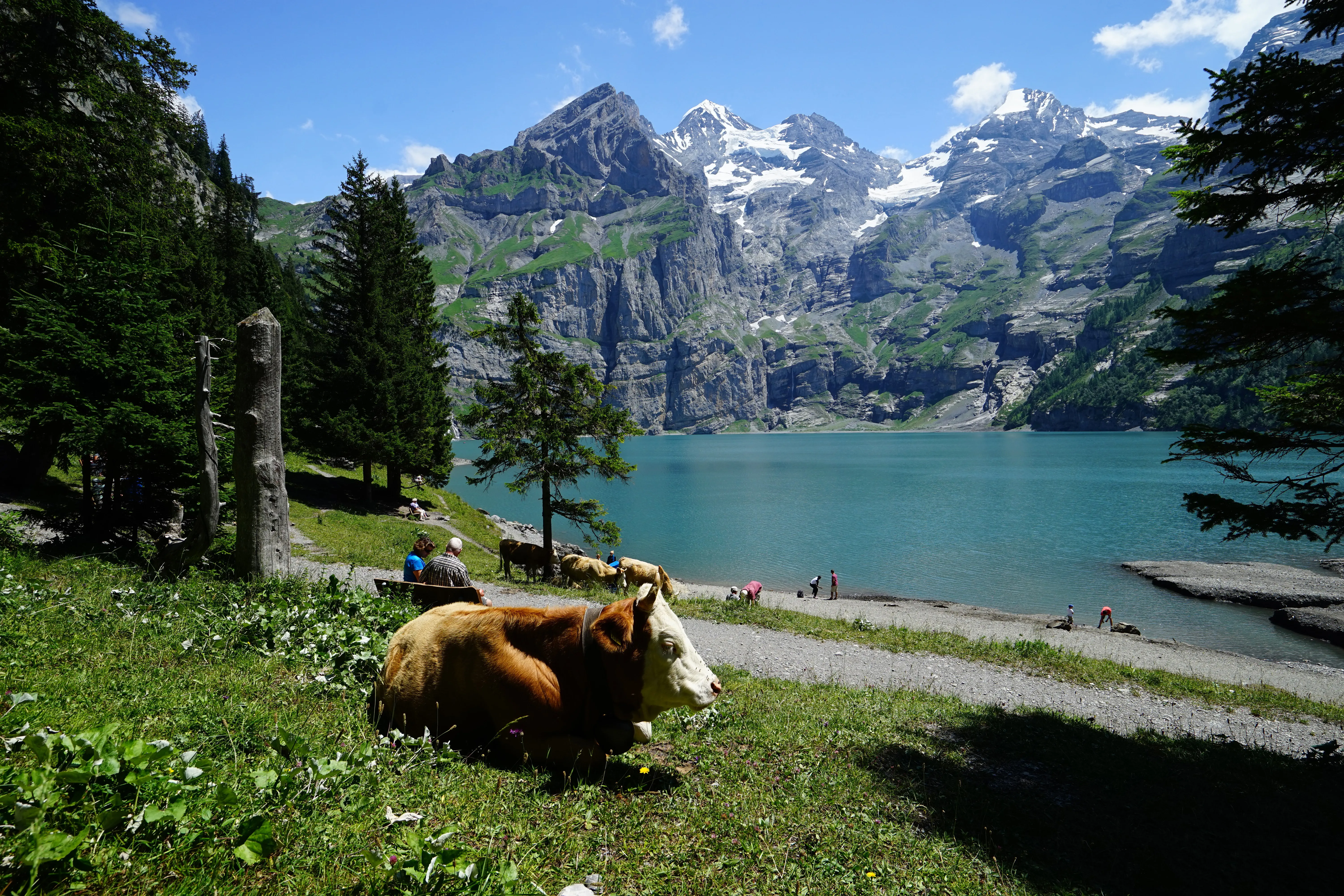 Self Guided Walking In Kandersteg - Exodus Travels