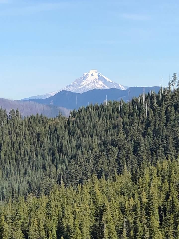 Photos: Gold Butte Fire Lookout, Marion County, Oregon