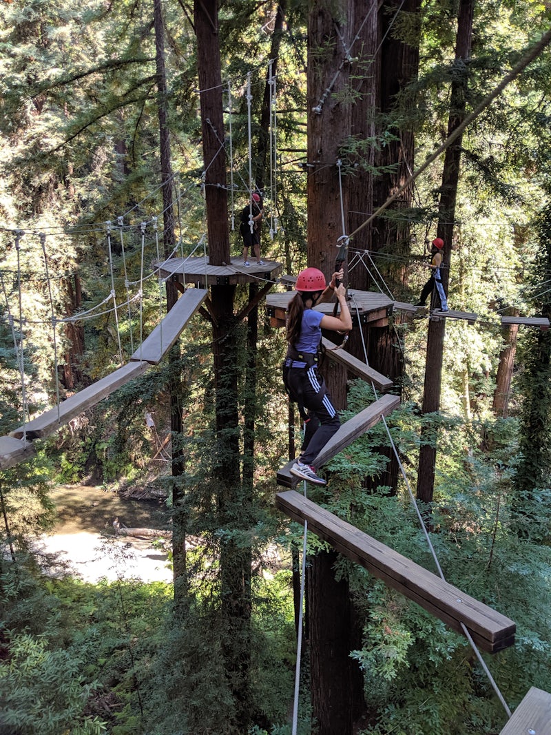 Photo of Tree Climb Mount Hermon