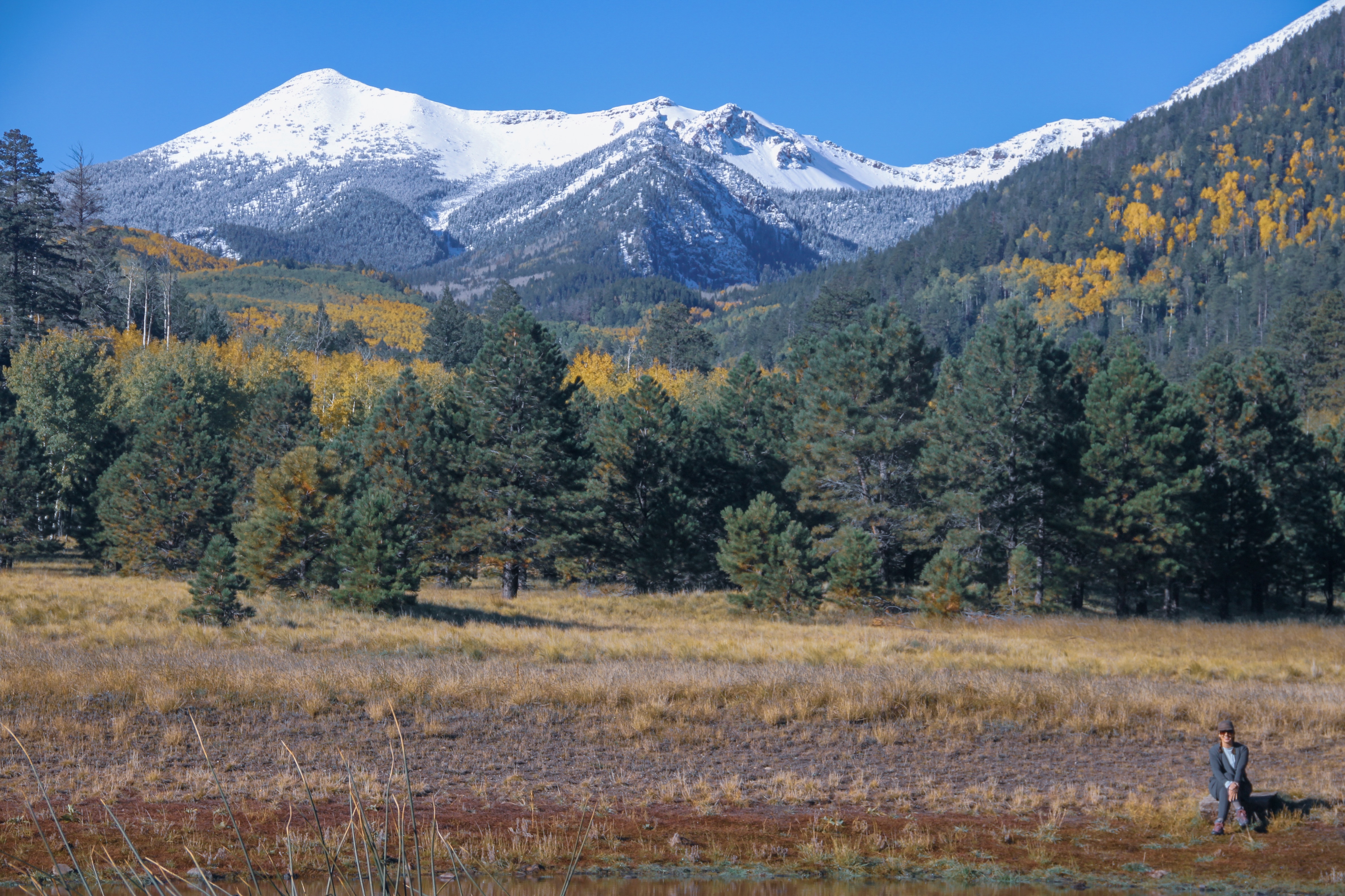 Photo of Trail Run in Lockett Meadow