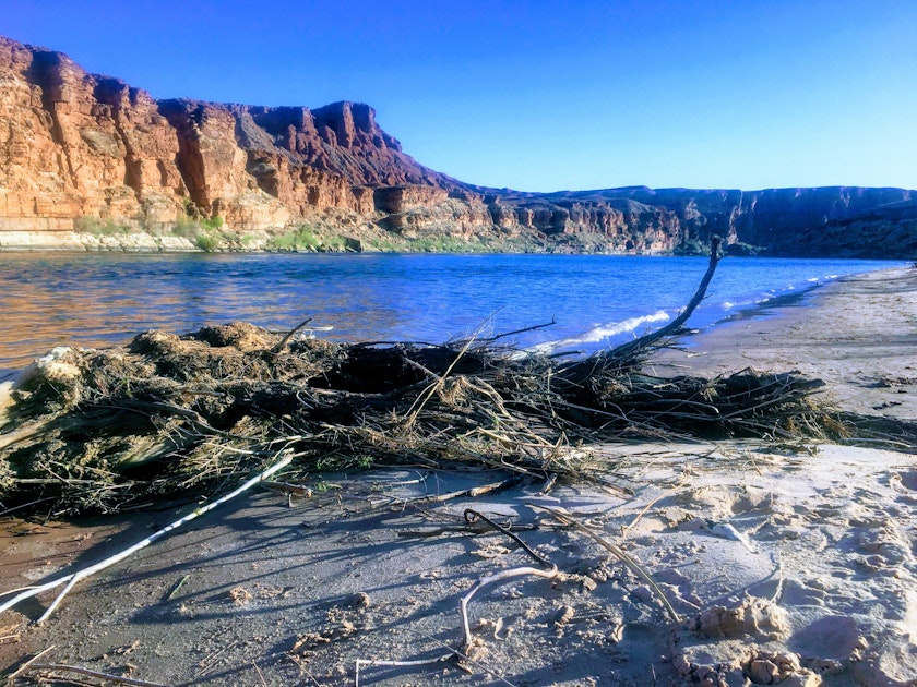 Explore Paria Beach, Marble Canyon, Arizona