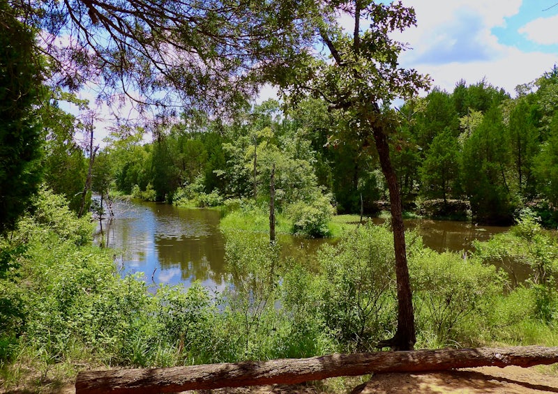 Photo of Hike Beaver Slide Nature Park Loop