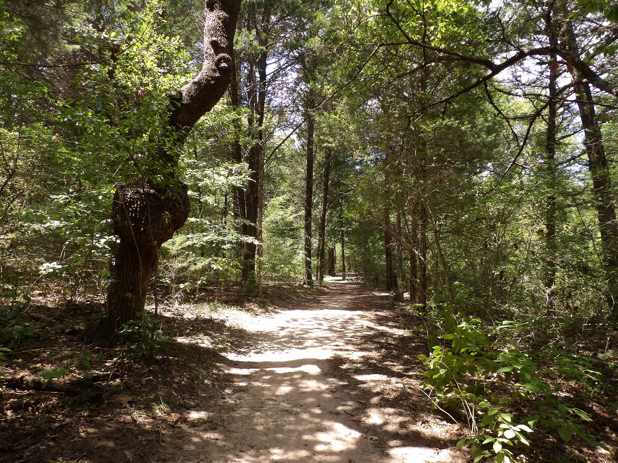 Photo of Beaver Slide Nature Park Loop