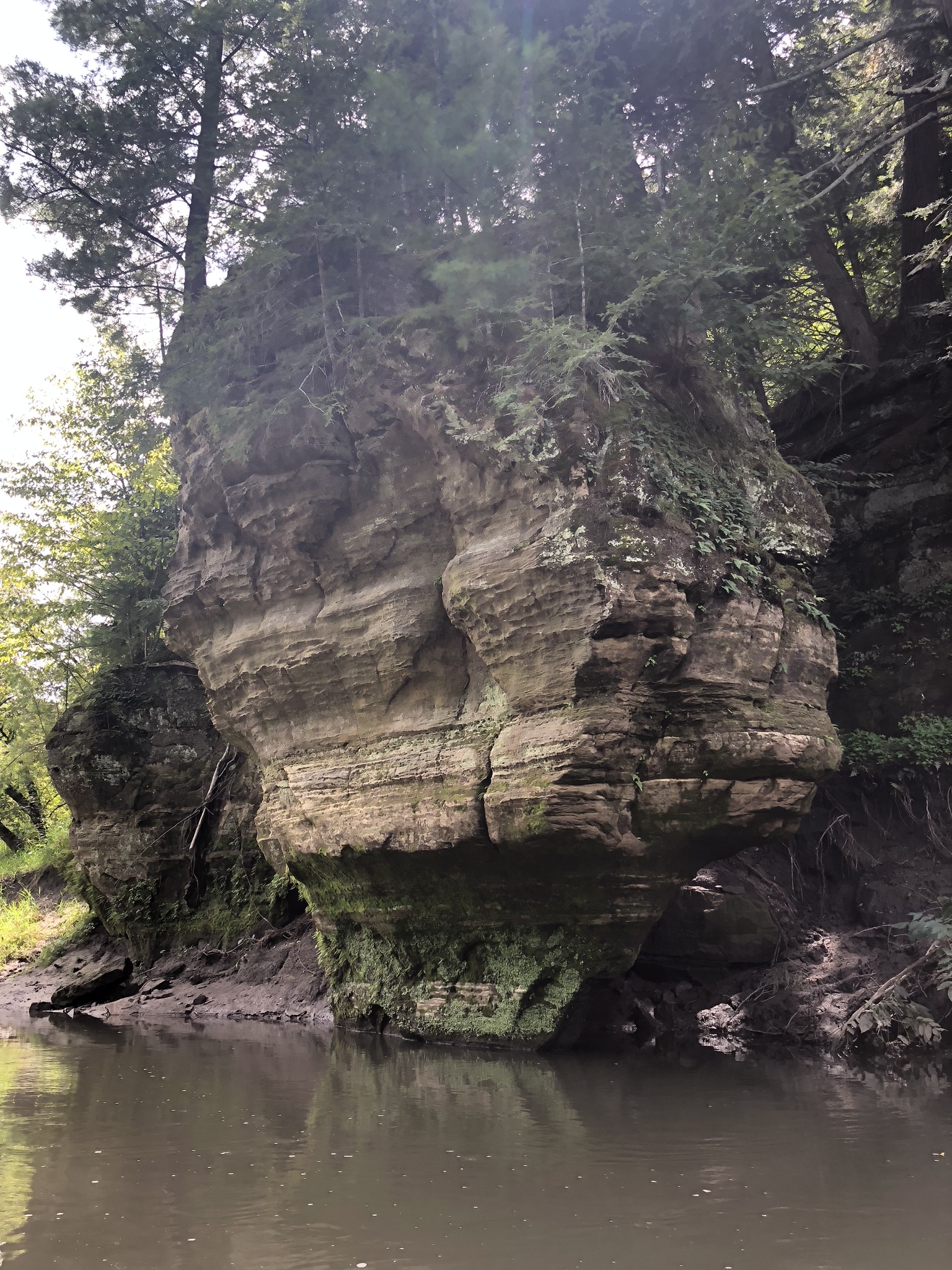 Hike the Hemlock Trail, Ontario, Wisconsin