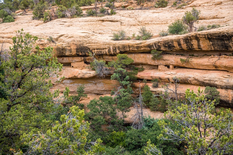 Photo of Hike the Spruce Canyon Trail