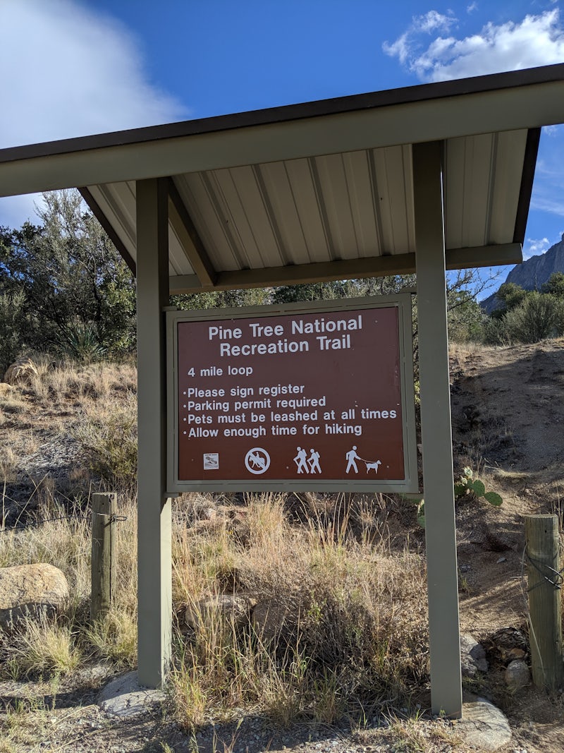 Photo of Pine Tree Trail Loop