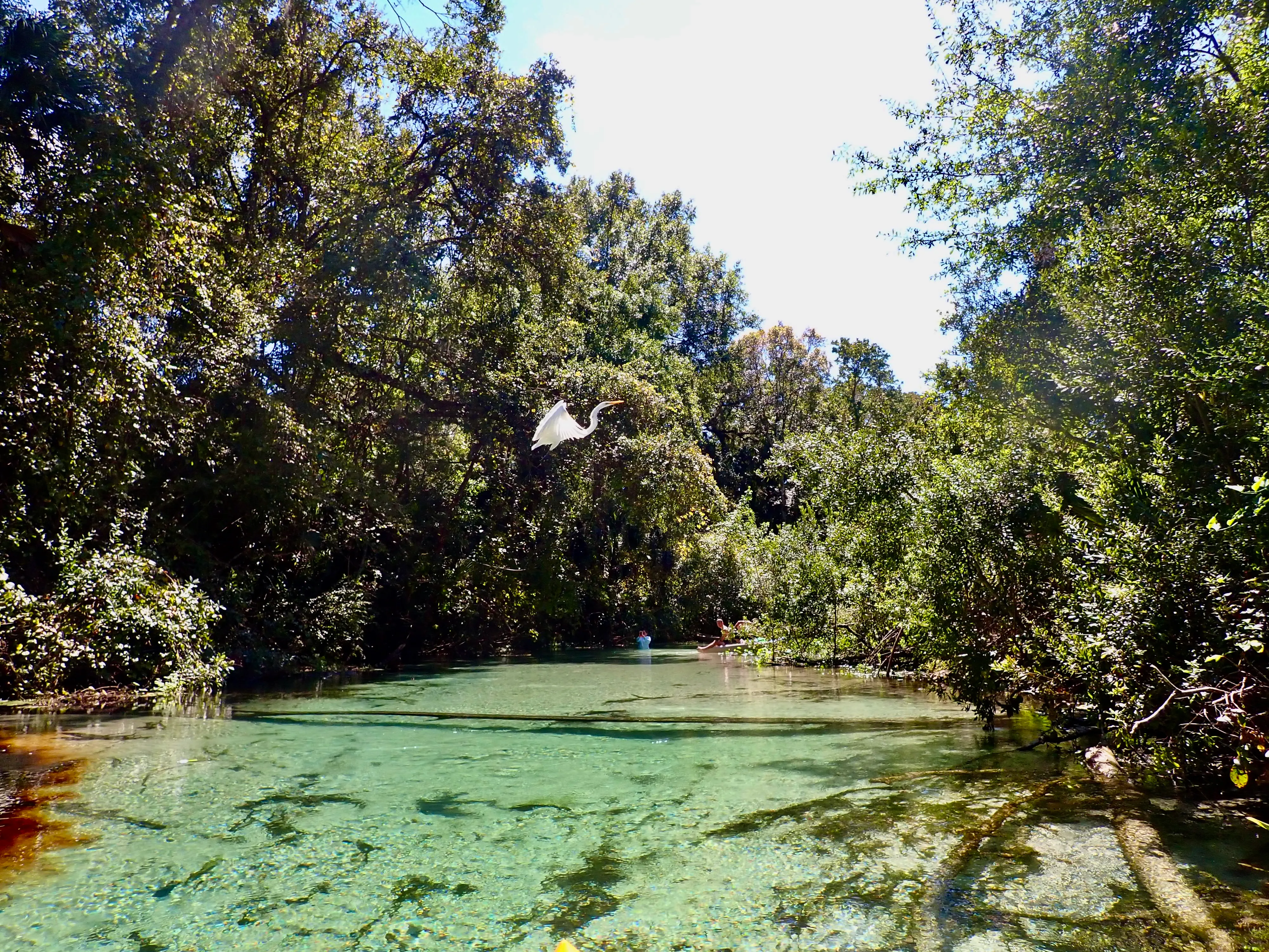 Photos: Kayak Extreme Emerald Cut, Apopka, Florida