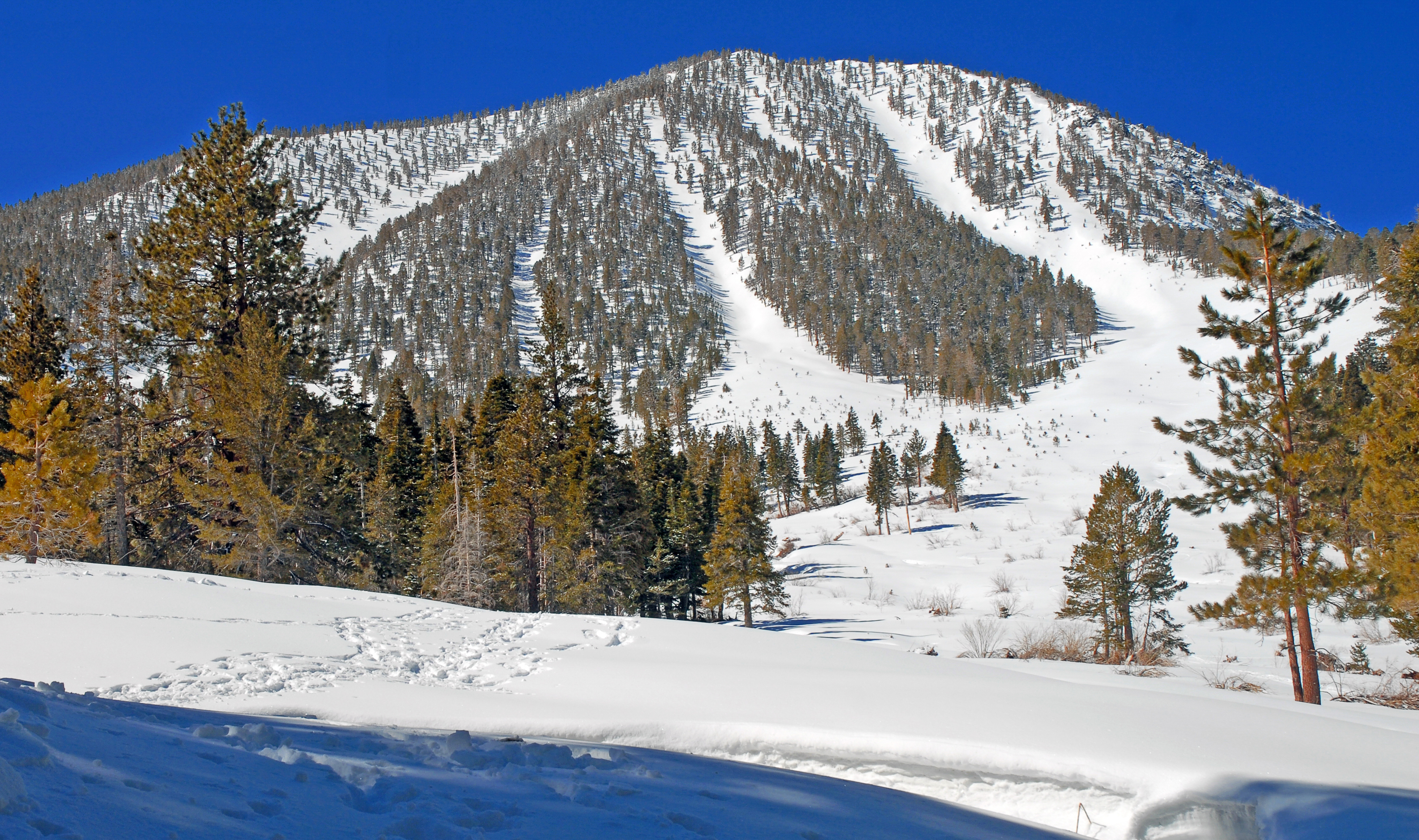 Photo of Ski-In, Ski-Out! Updated & Walkable Slope-View Gem