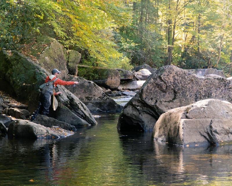 Photo of Backcountry Fly Fish on the Cranberry River