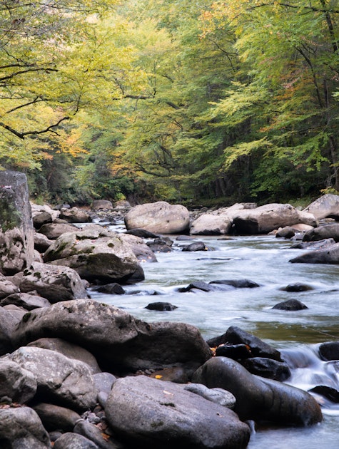 Backcountry Fly Fish on the Cranberry River, Richwood, West Virginia