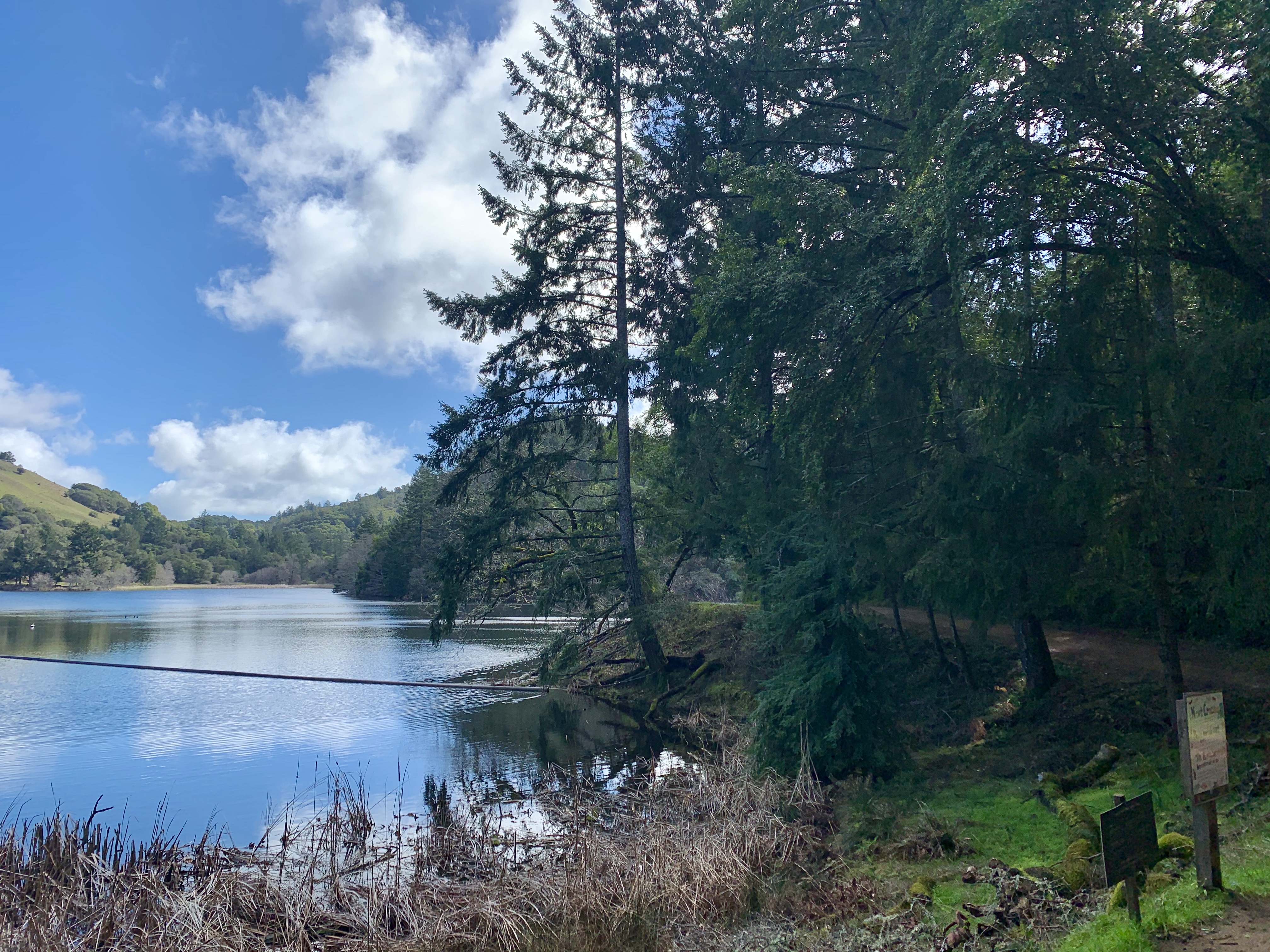 Lake Lagunitas, Fairfax, California