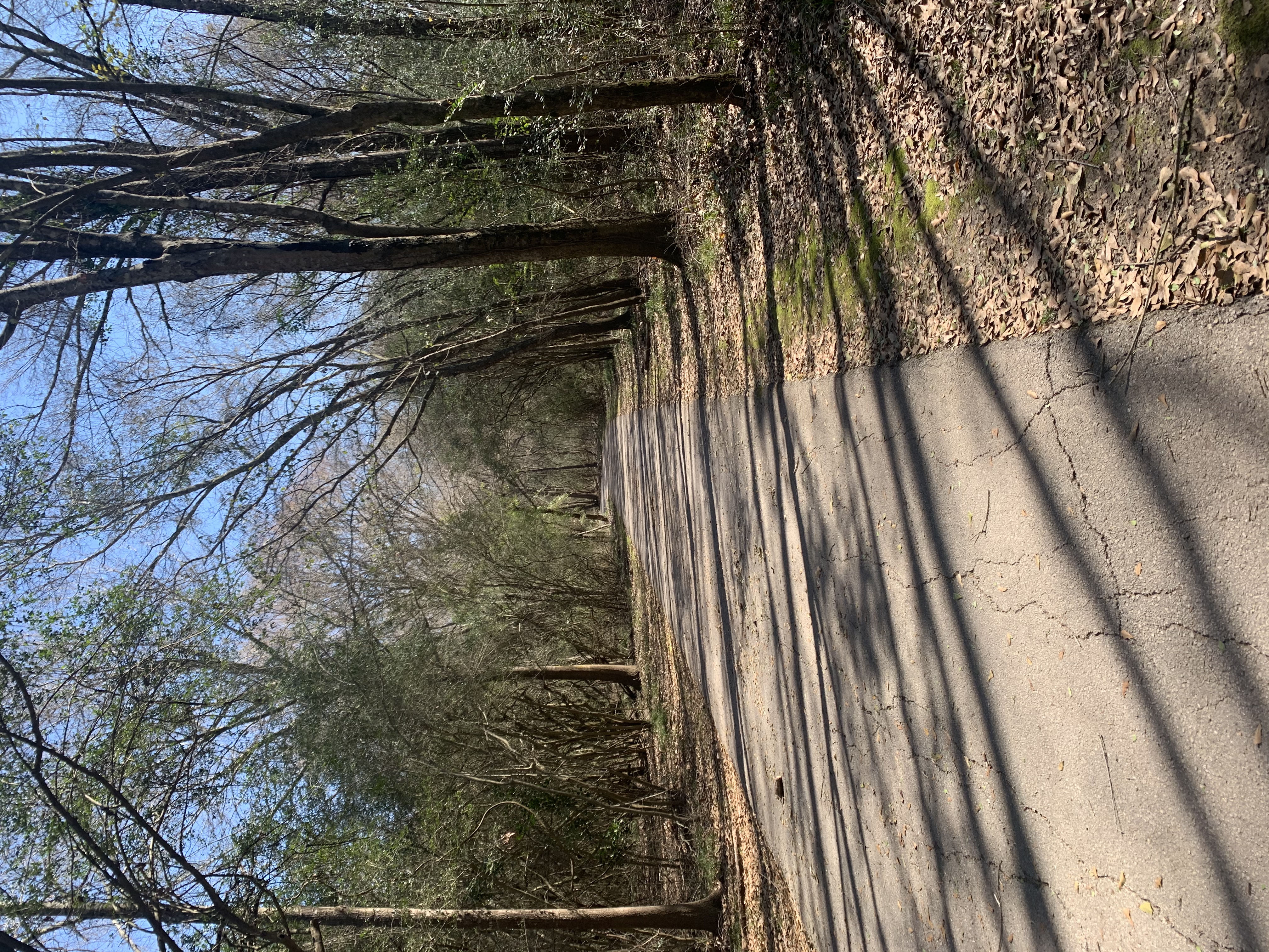 Hike Cullen Park Hike And Bike Trail, Houston, Texas